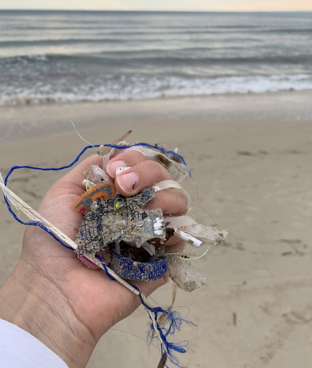 Our Cleaner Oceans Pledge and the Global Week for Future - Pure Earth ...