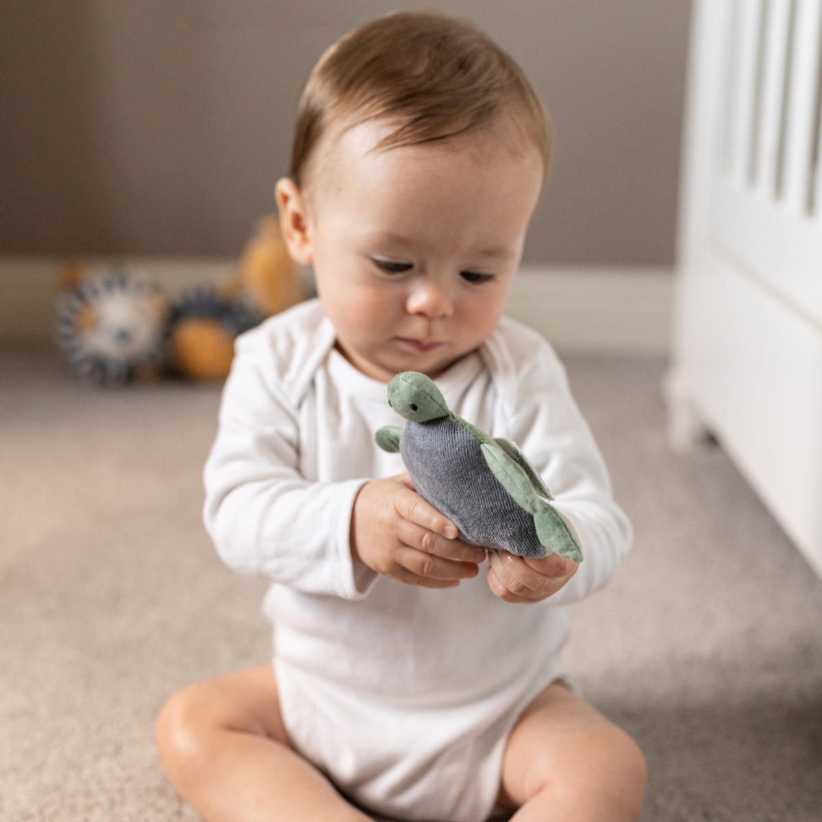 Turtle Rattle - Pure Earth Collection