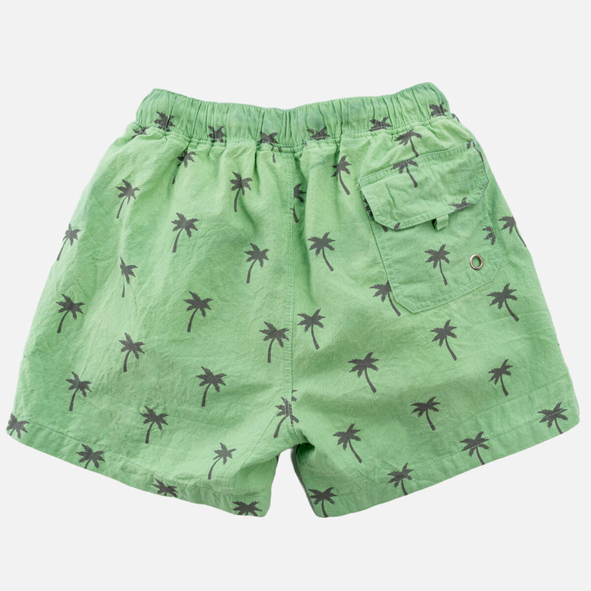 Boys Swim Trunks - Green Palm Trees